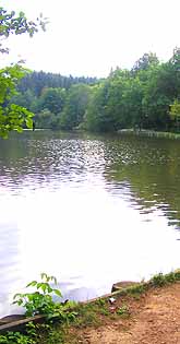 Grafenteich Voitsberg Detail