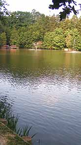 Grafenteich Voitsberg Detail