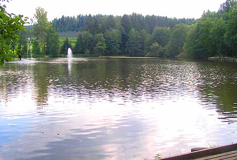 Grafenteich Voitsberg Detail