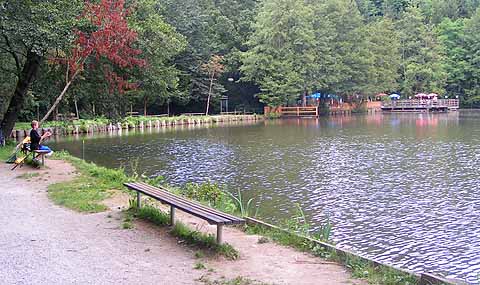 Grafenteich Voitsberg Detail